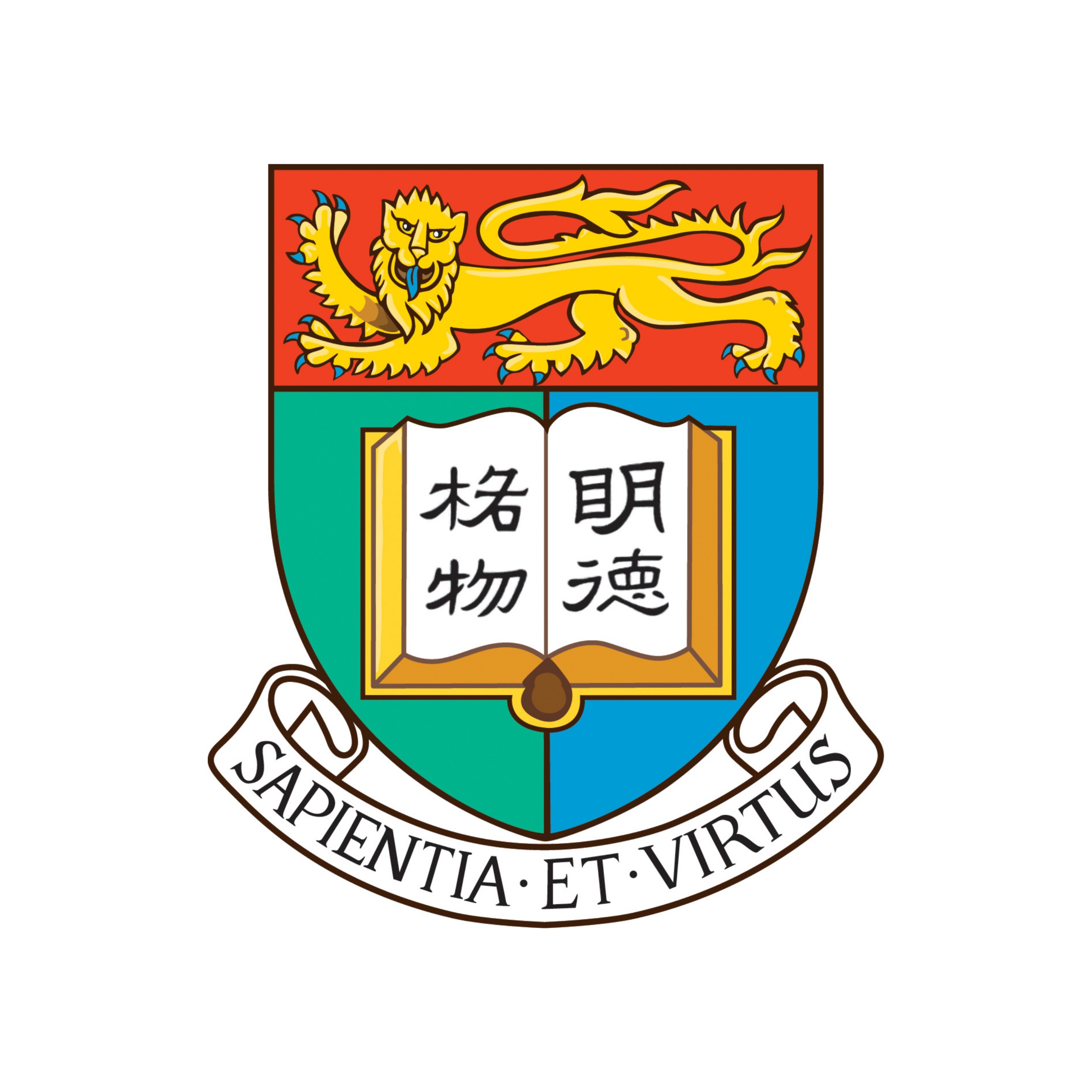 Professor Kenneth WONG - HKU SGP